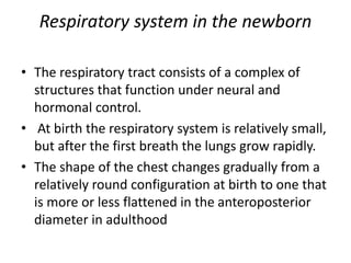 Respiratory newborn | PPTX