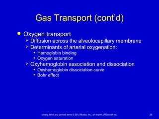 Respiratory notes | PPT