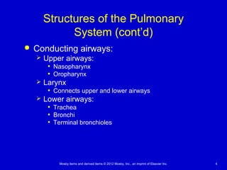 Respiratory notes | PPT