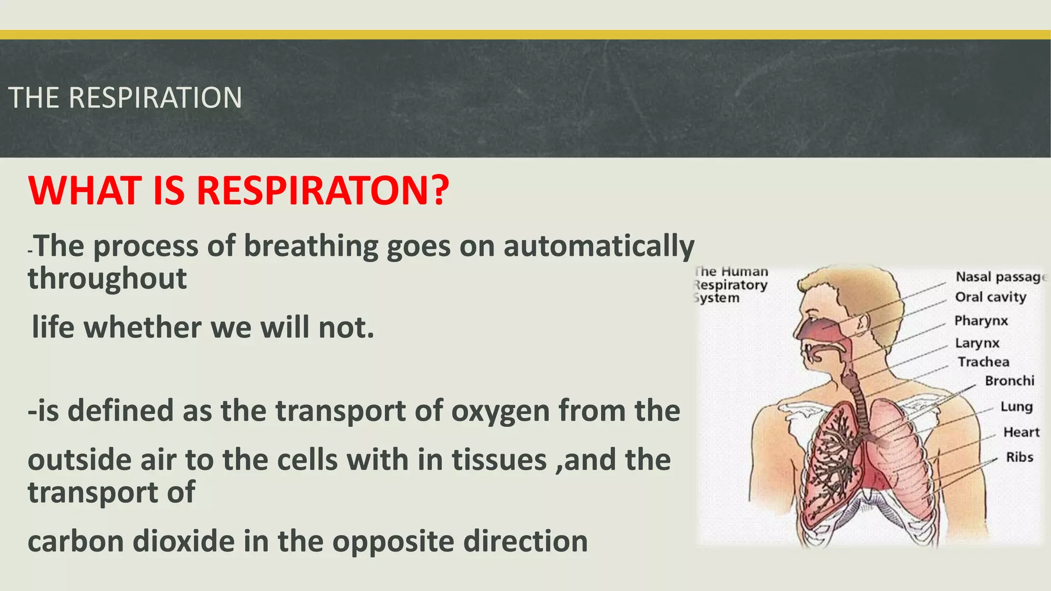 The Respiration and the Problems of Respiratory System | PPTX