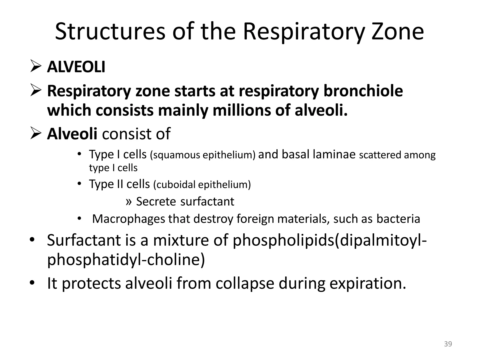Respiratory system Anatomy | PPT
