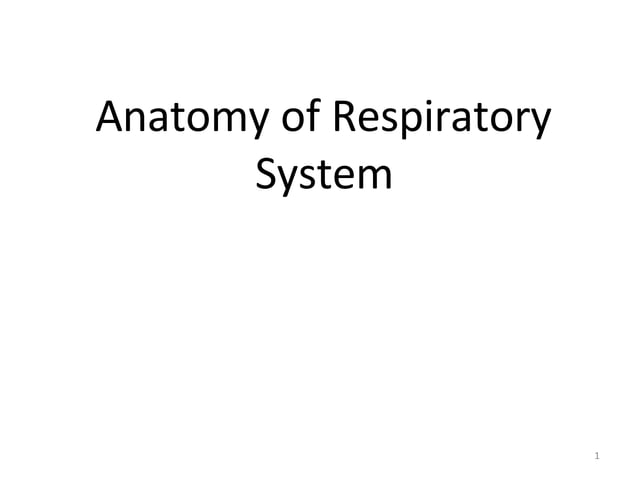 Respiratory system Anatomy | PPT