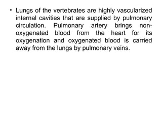 RESPIRATORY ORGANS AND RESPIRATION PROCESS IN INVERTEBRATE AND ...