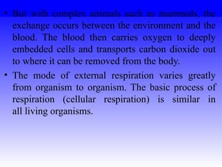 RESPIRATORY ORGANS AND RESPIRATION PROCESS IN INVERTEBRATE AND ...