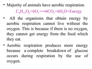 RESPIRATORY ORGANS AND RESPIRATION PROCESS IN INVERTEBRATE AND ...