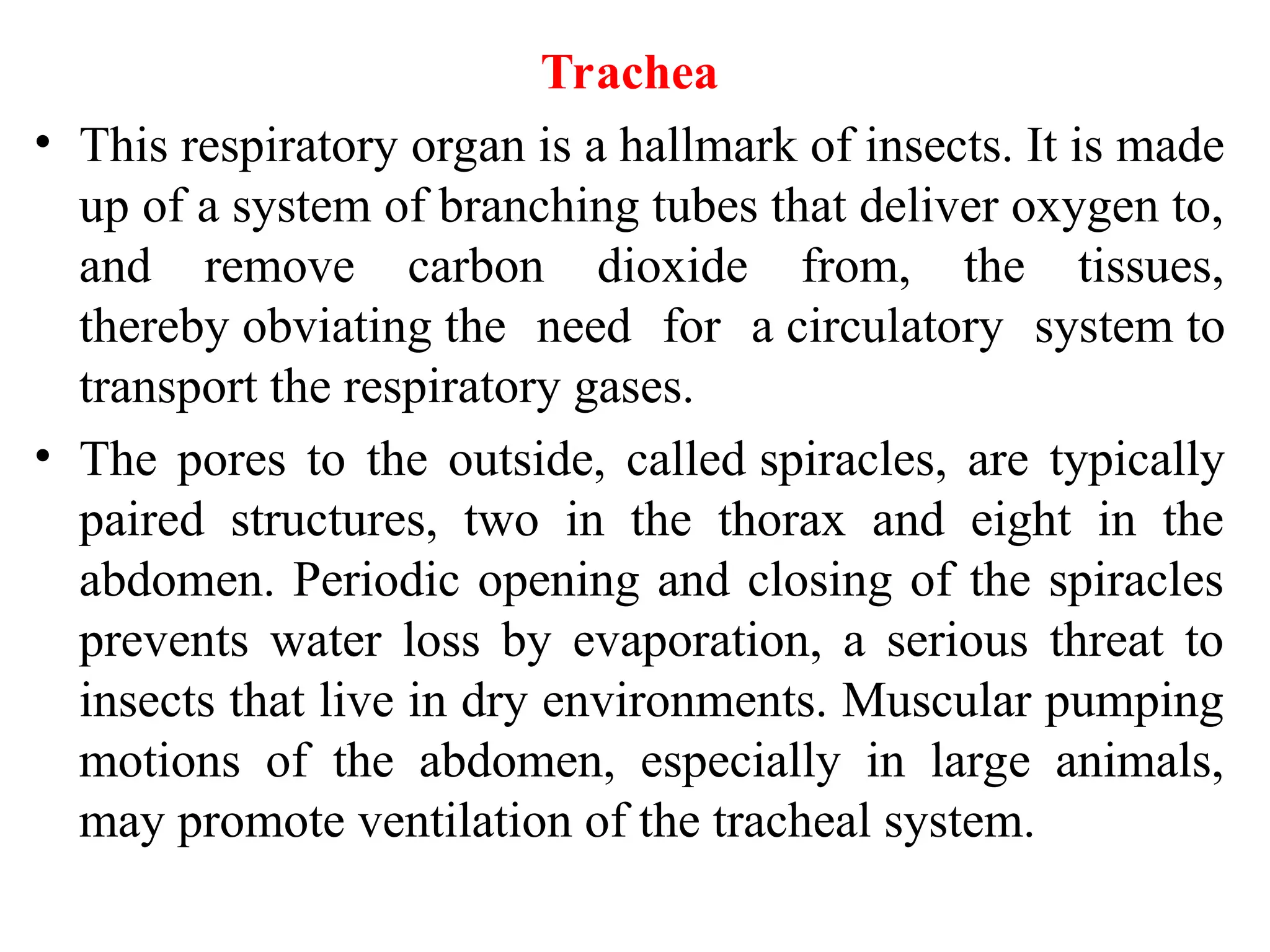 RESPIRATORY ORGANS AND RESPIRATION PROCESS IN INVERTEBRATE AND ...