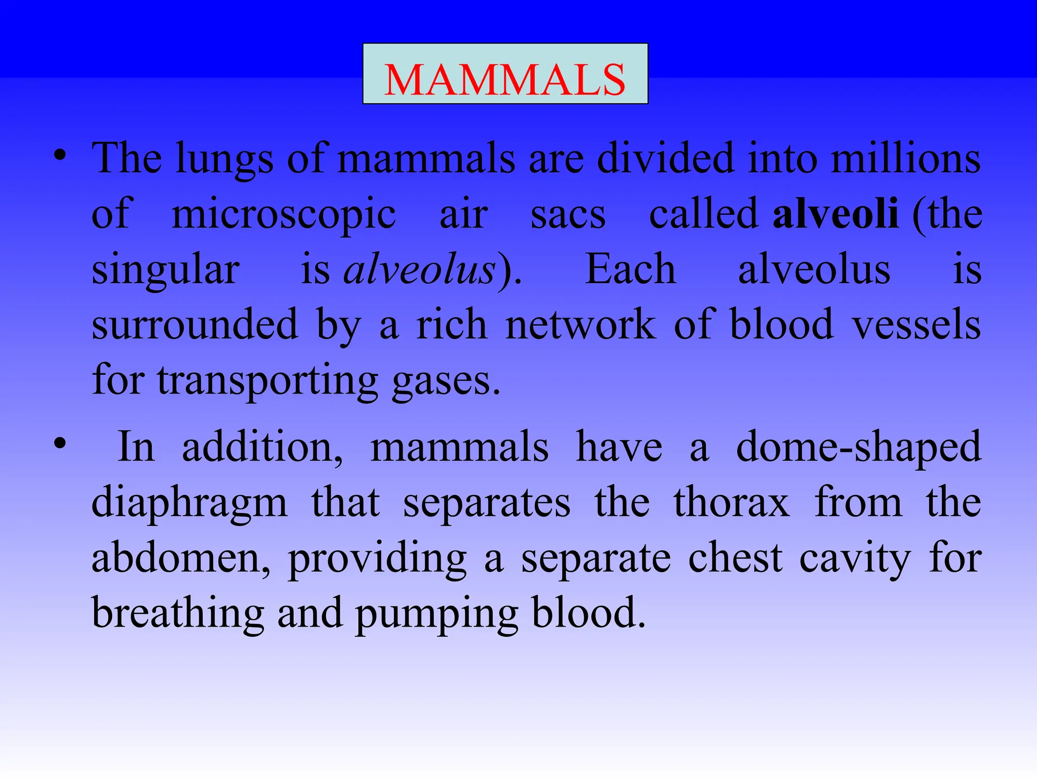 RESPIRATORY ORGANS AND RESPIRATION PROCESS IN INVERTEBRATE AND ...