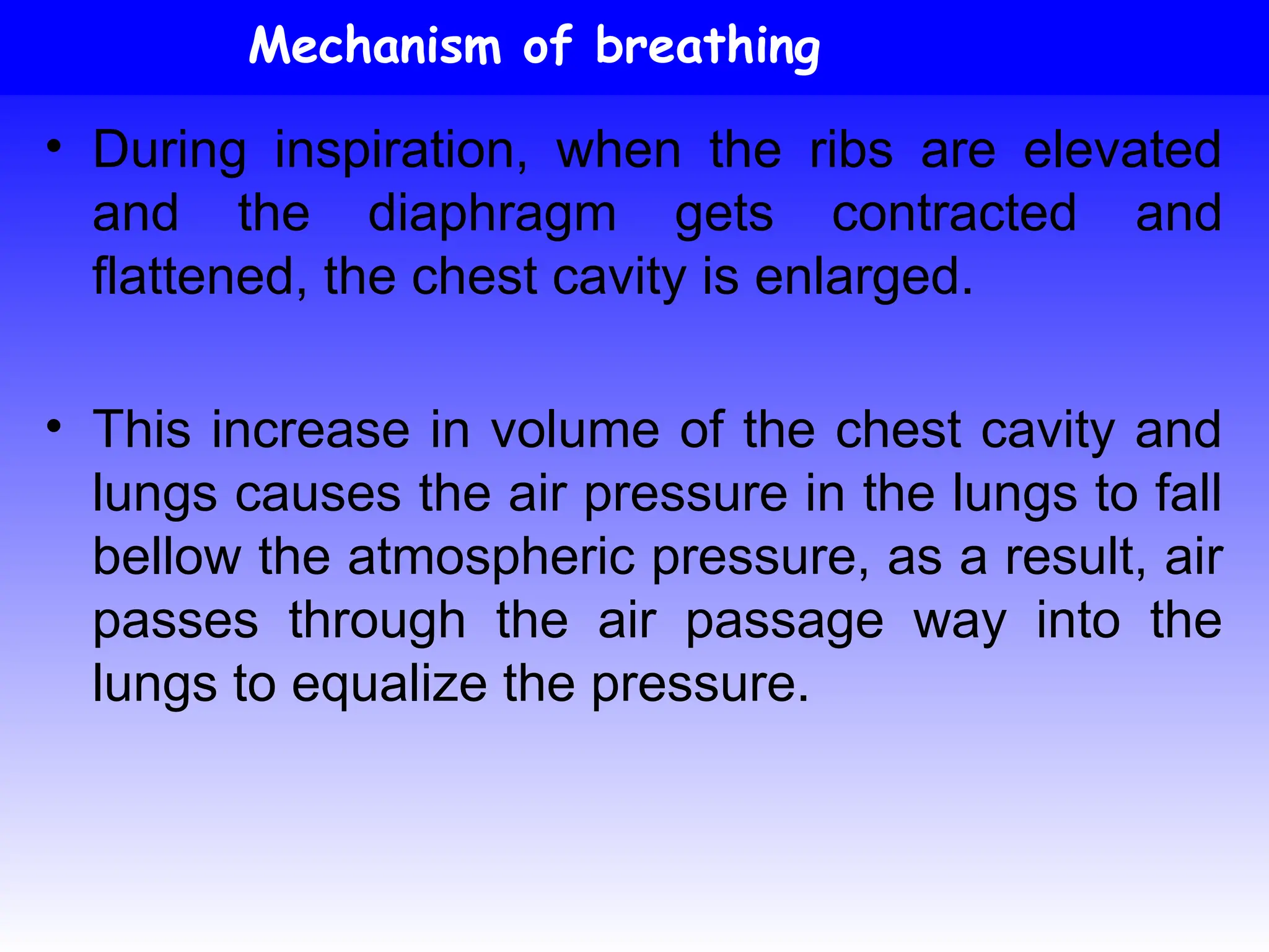 RESPIRATORY ORGANS AND RESPIRATION PROCESS IN INVERTEBRATE AND ...