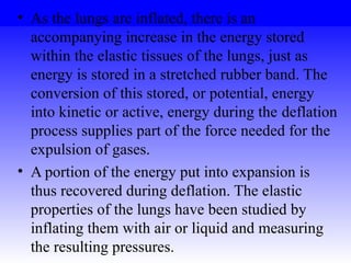 RESPIRATORY ORGANS AND RESPIRATION PROCESS IN INVERTEBRATE AND ...