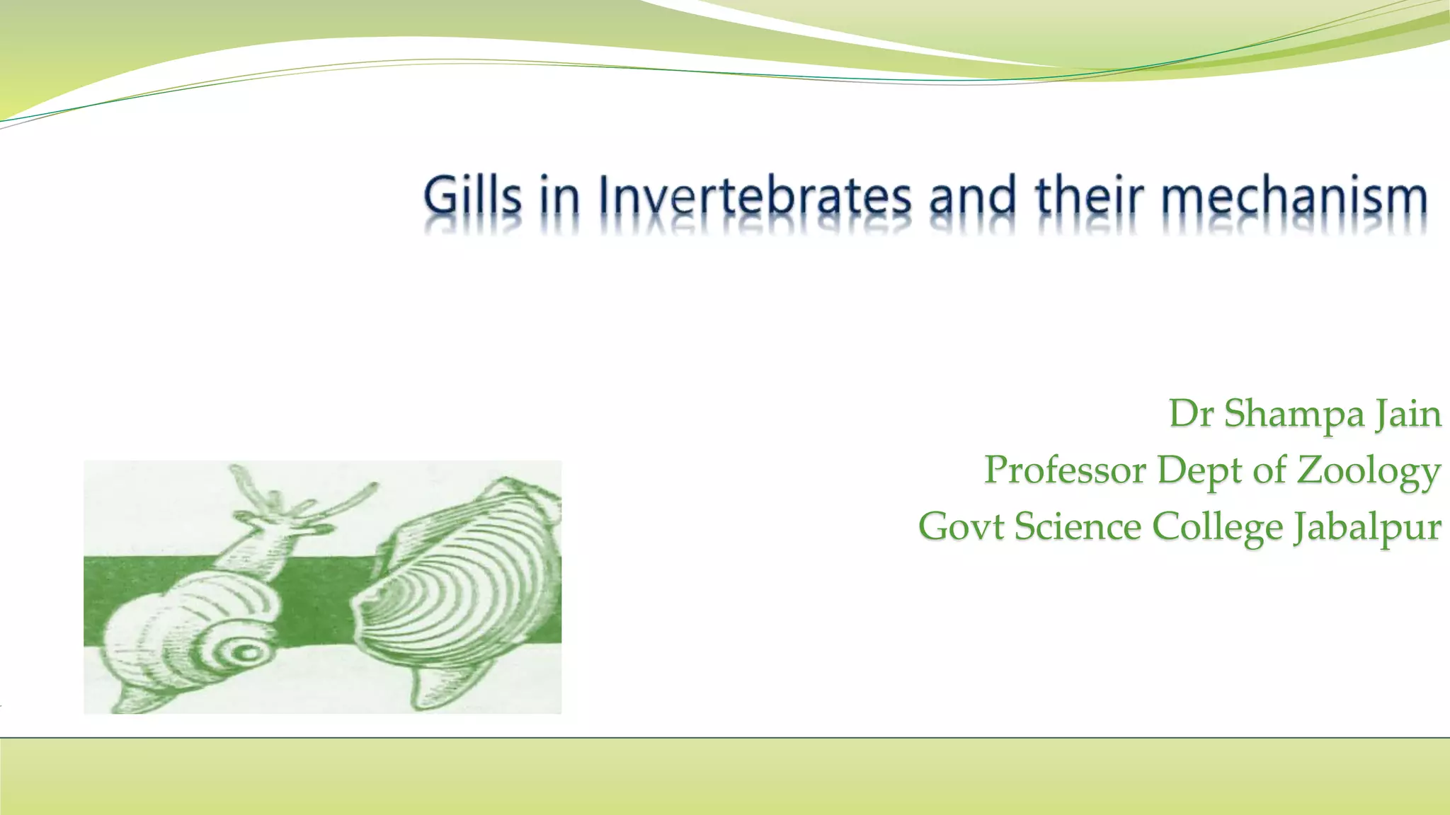 Gills in invertebrates | PPTX