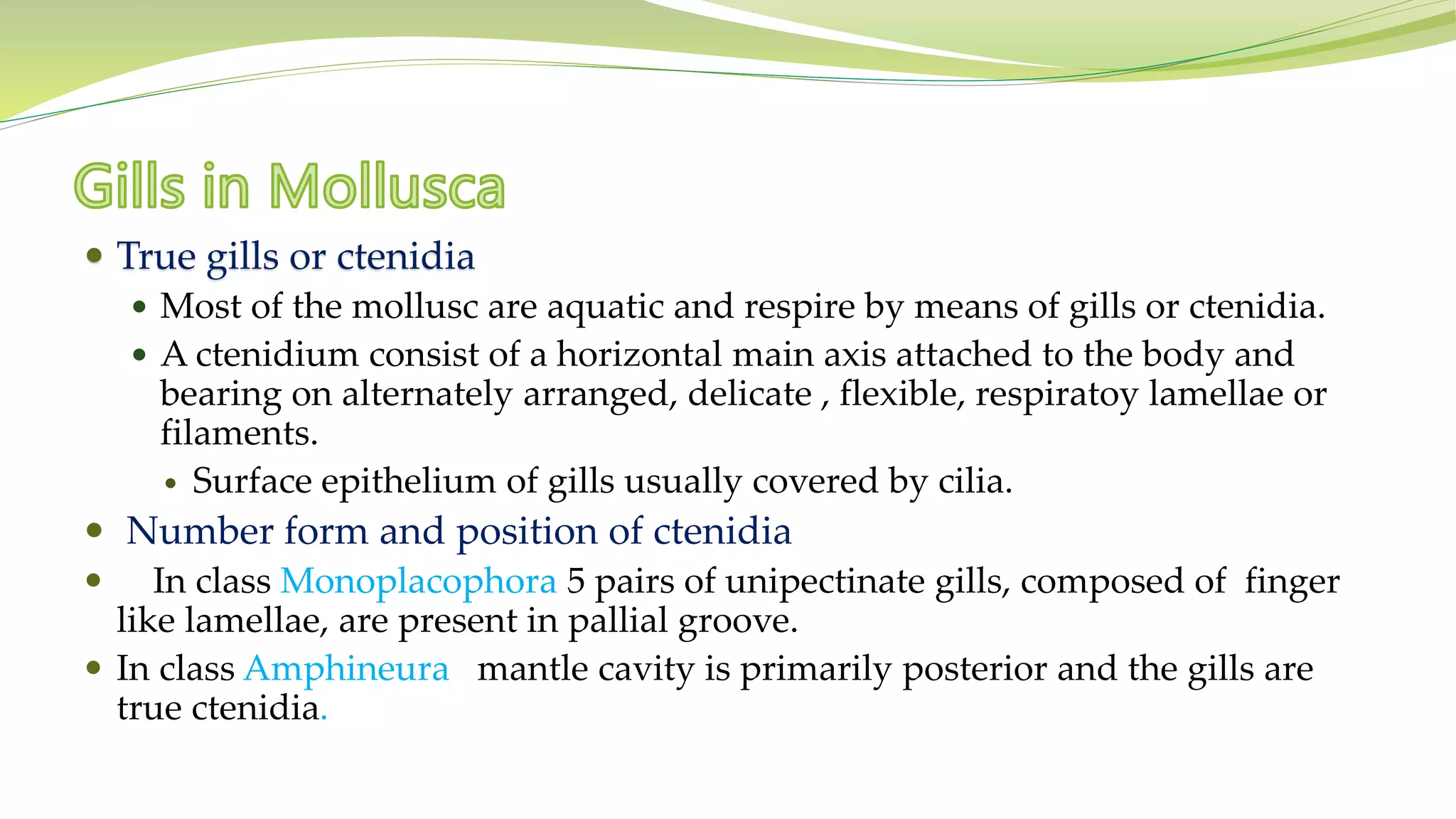 Gills in invertebrates | PPTX