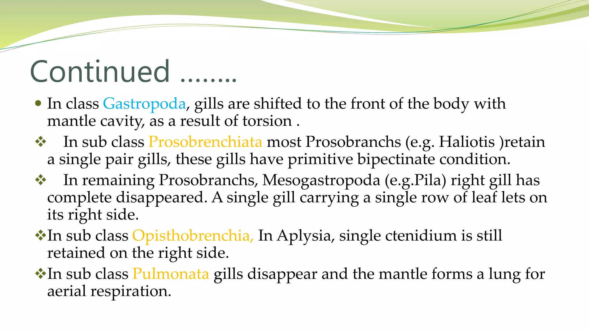 Gills in invertebrates | PPTX