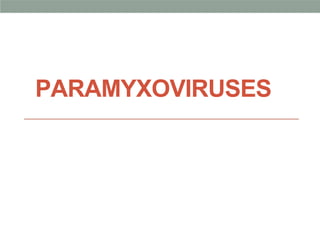 RESPIRATORY PART2-2.pptx | Free Download