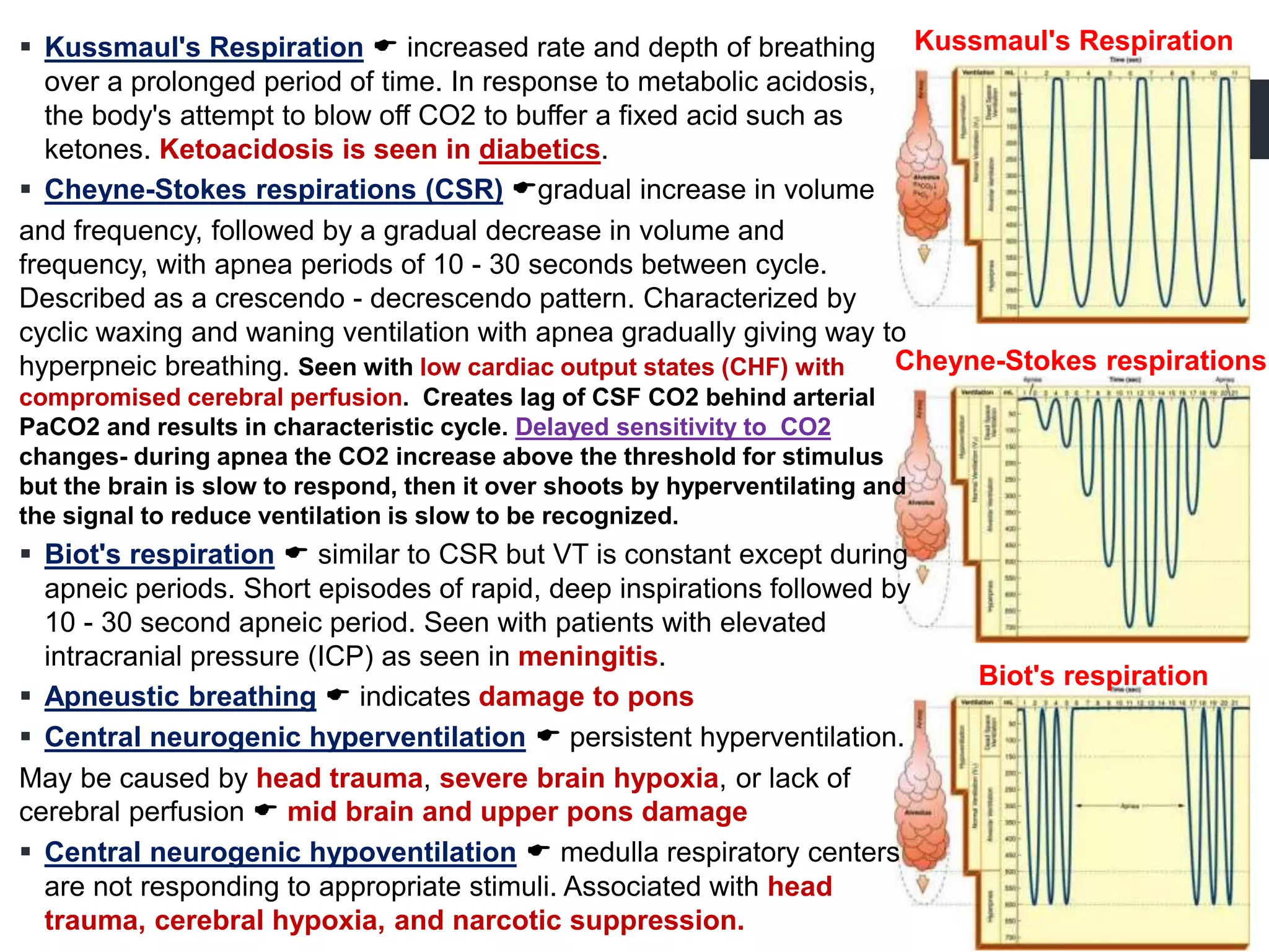 Respiratory pathology | PPTX