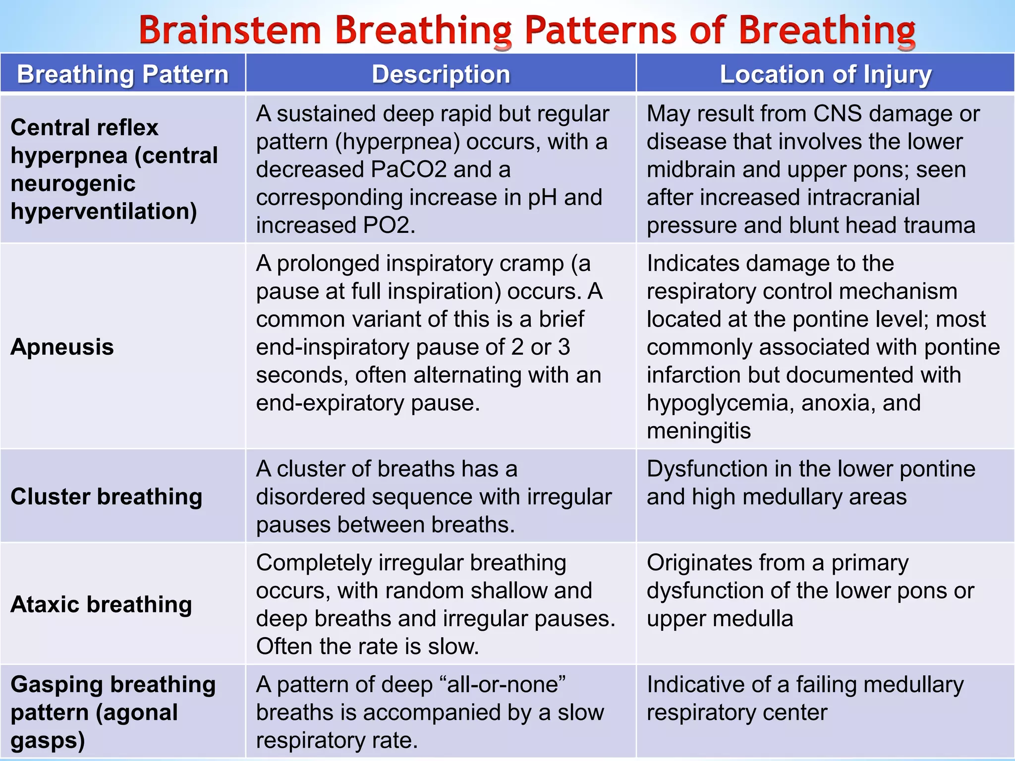 Respiratory pathology | PPTX