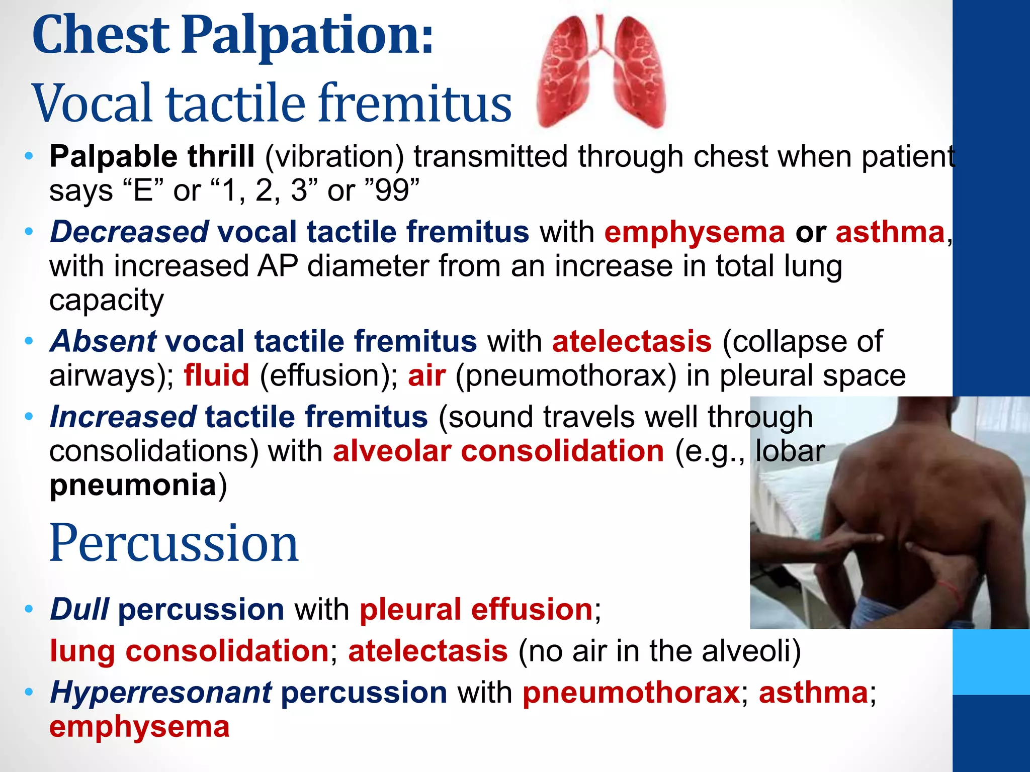 Respiratory pathology | PPTX