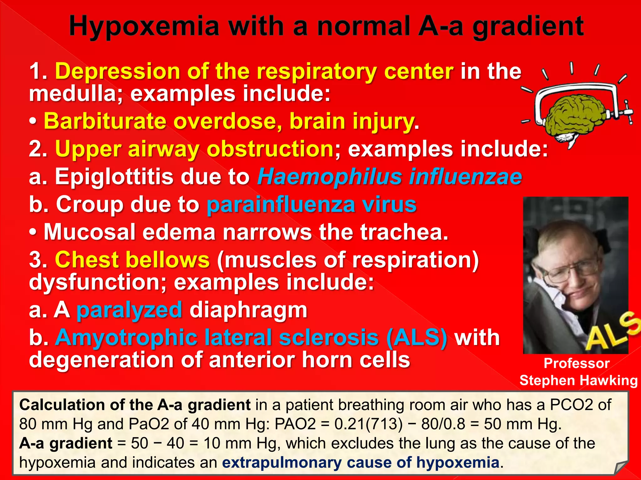 Respiratory pathology | PPTX