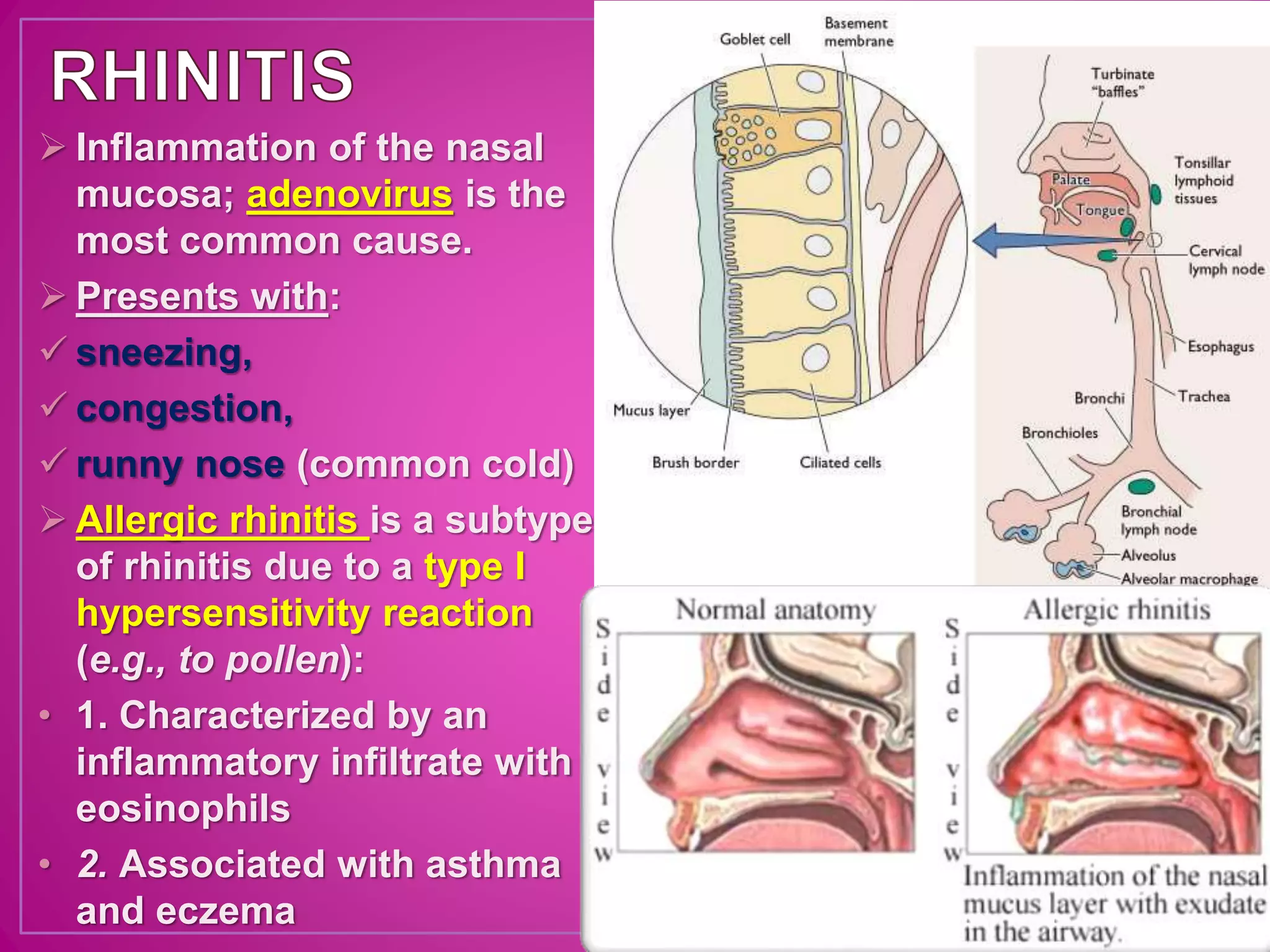 Respiratory pathology | PPTX