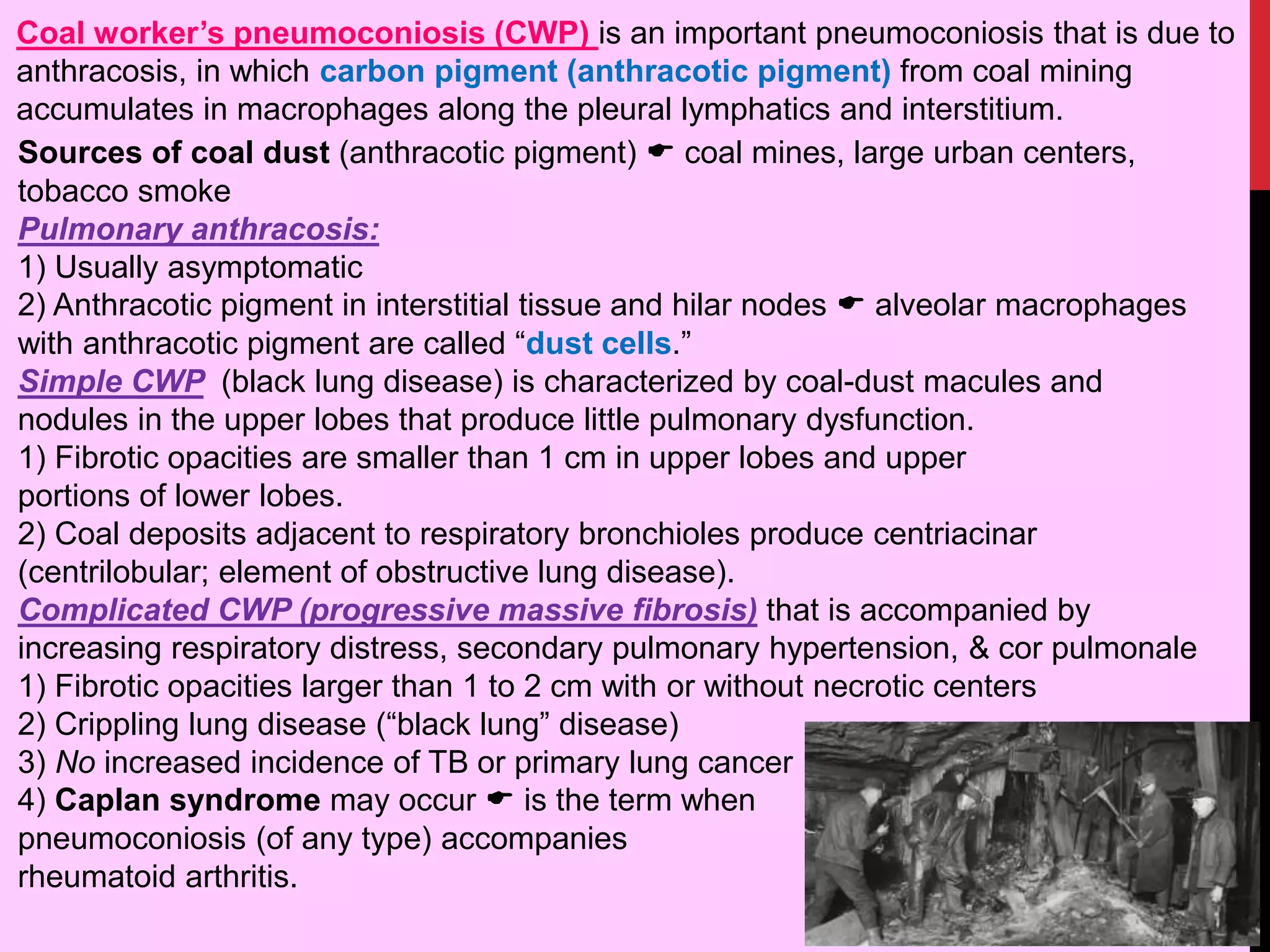 Respiratory pathology | PPTX