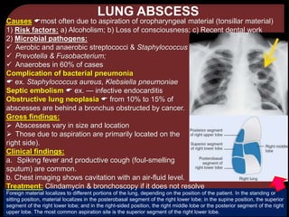 Respiratory pathology | PPTX