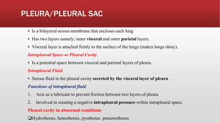 INTRODUCTION TO RESPIRATORY PATHOLOGY.pptx