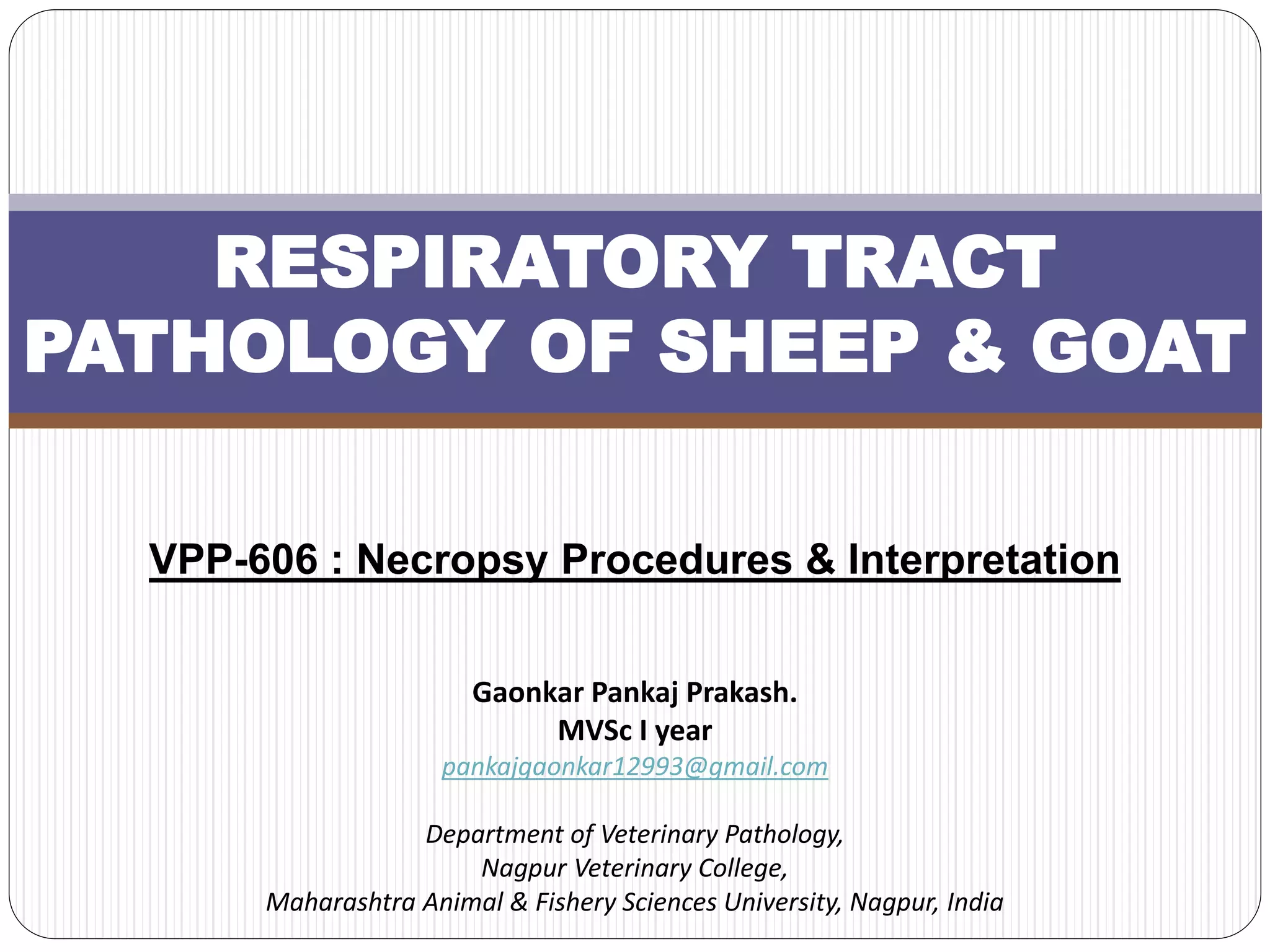 Respiratory pathology of sheep & goat. | PPTX