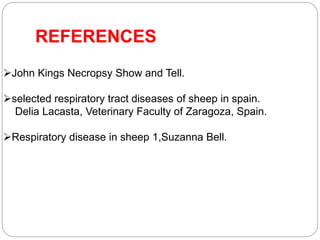 Respiratory pathology of sheep & goat. | PPT