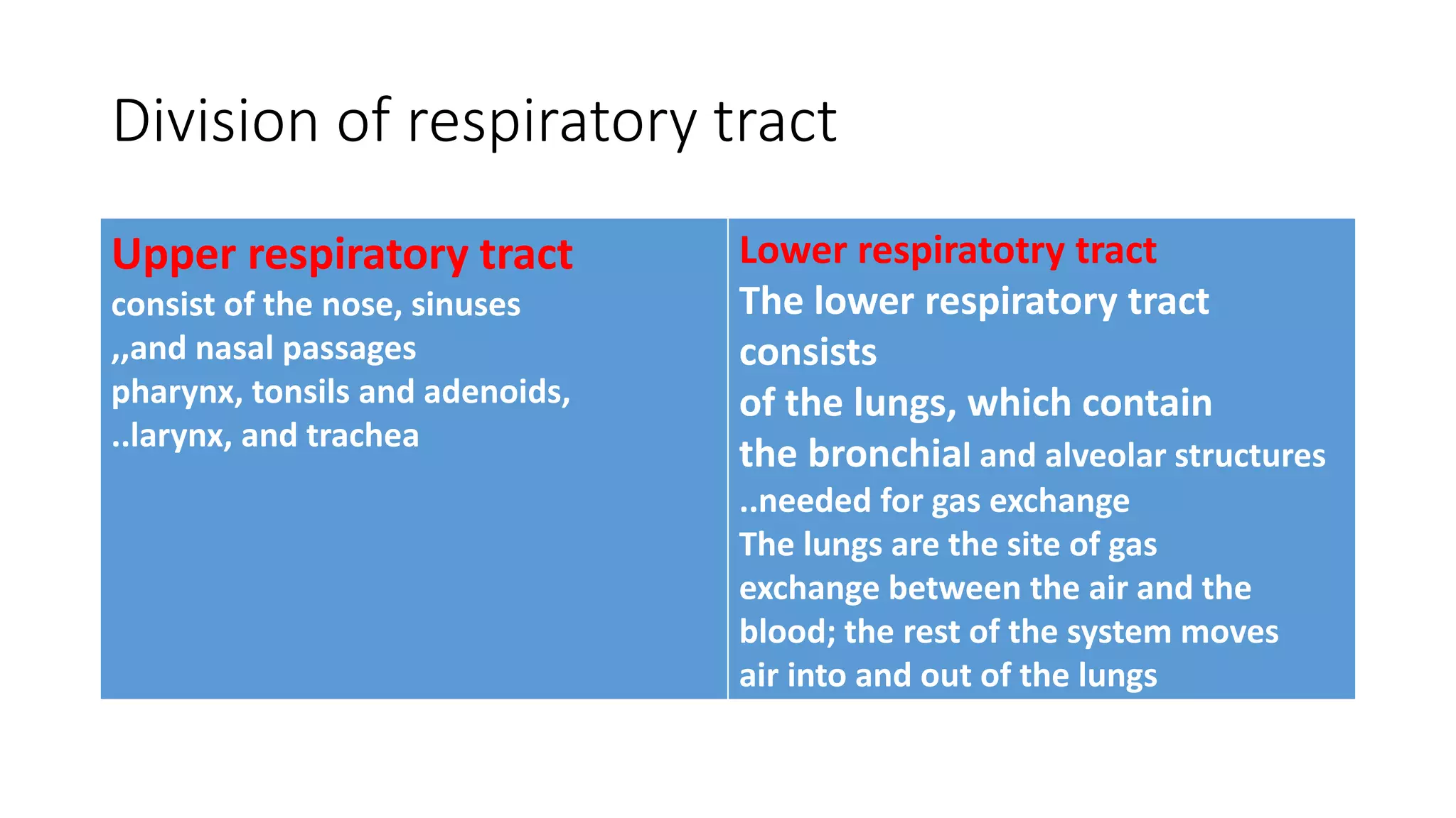 Respiratory Pathway.pptx