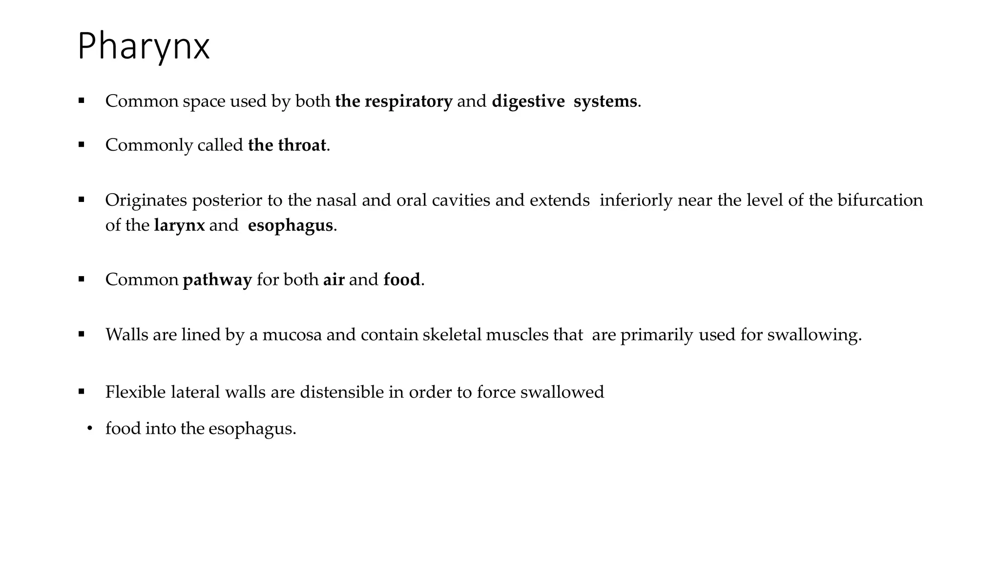 Respiratory Pathway.pptx