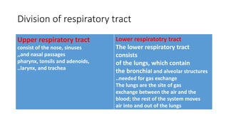 Respiratory Pathway.pptx