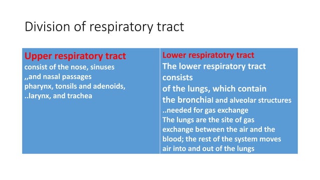 Respiratory Pathway.pptx