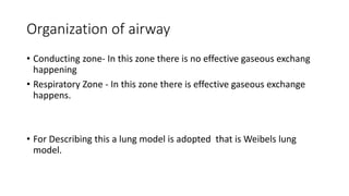 Respiratory Pathway.pptx