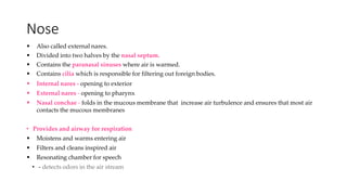 Respiratory Pathway.pptx
