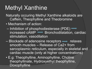Respiratory pharmacology (anti asthmatic drugs) | PPTX