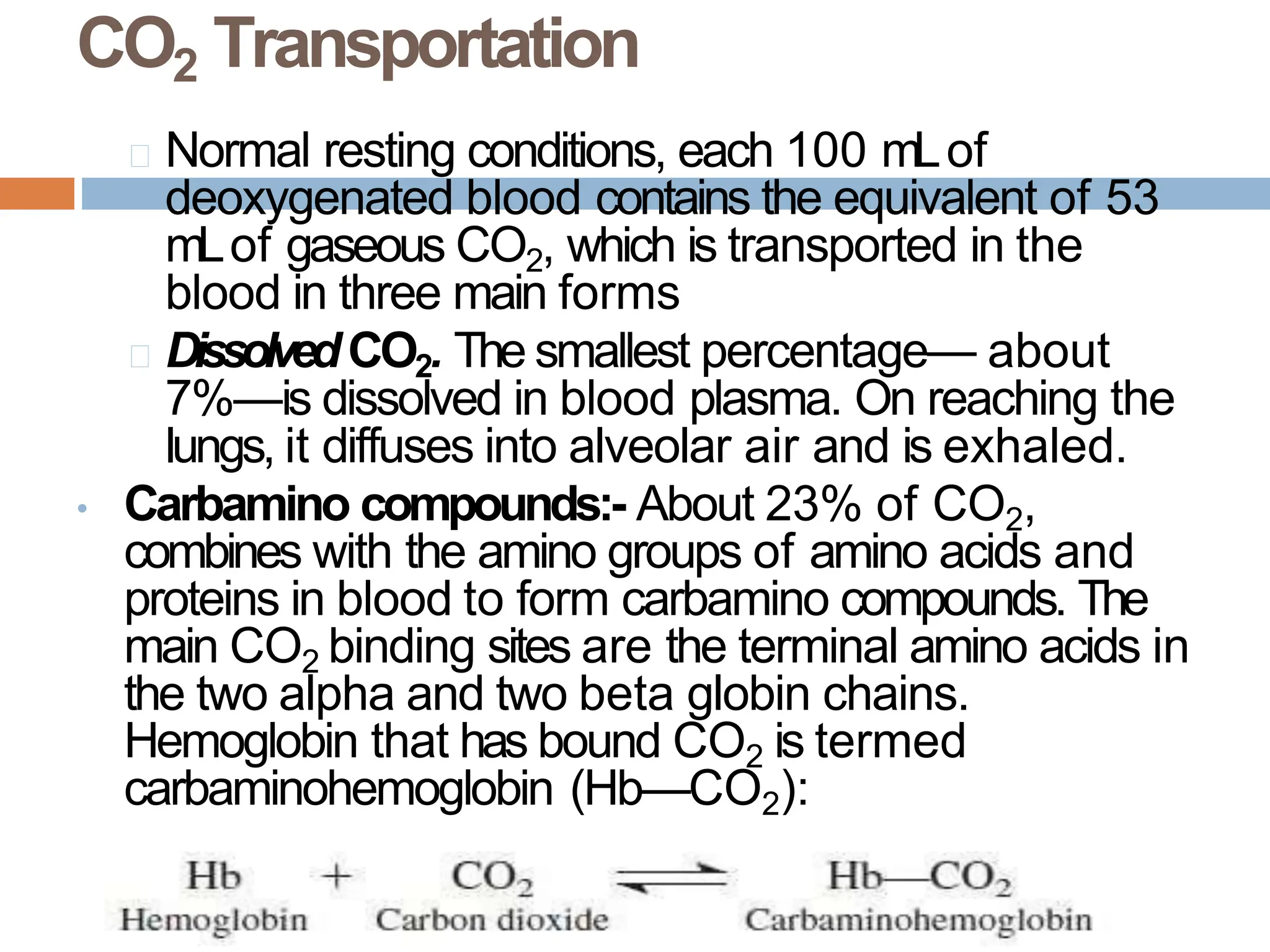RESPIRATORY PHYSIOlogy presentation anaesthesia | PPTX