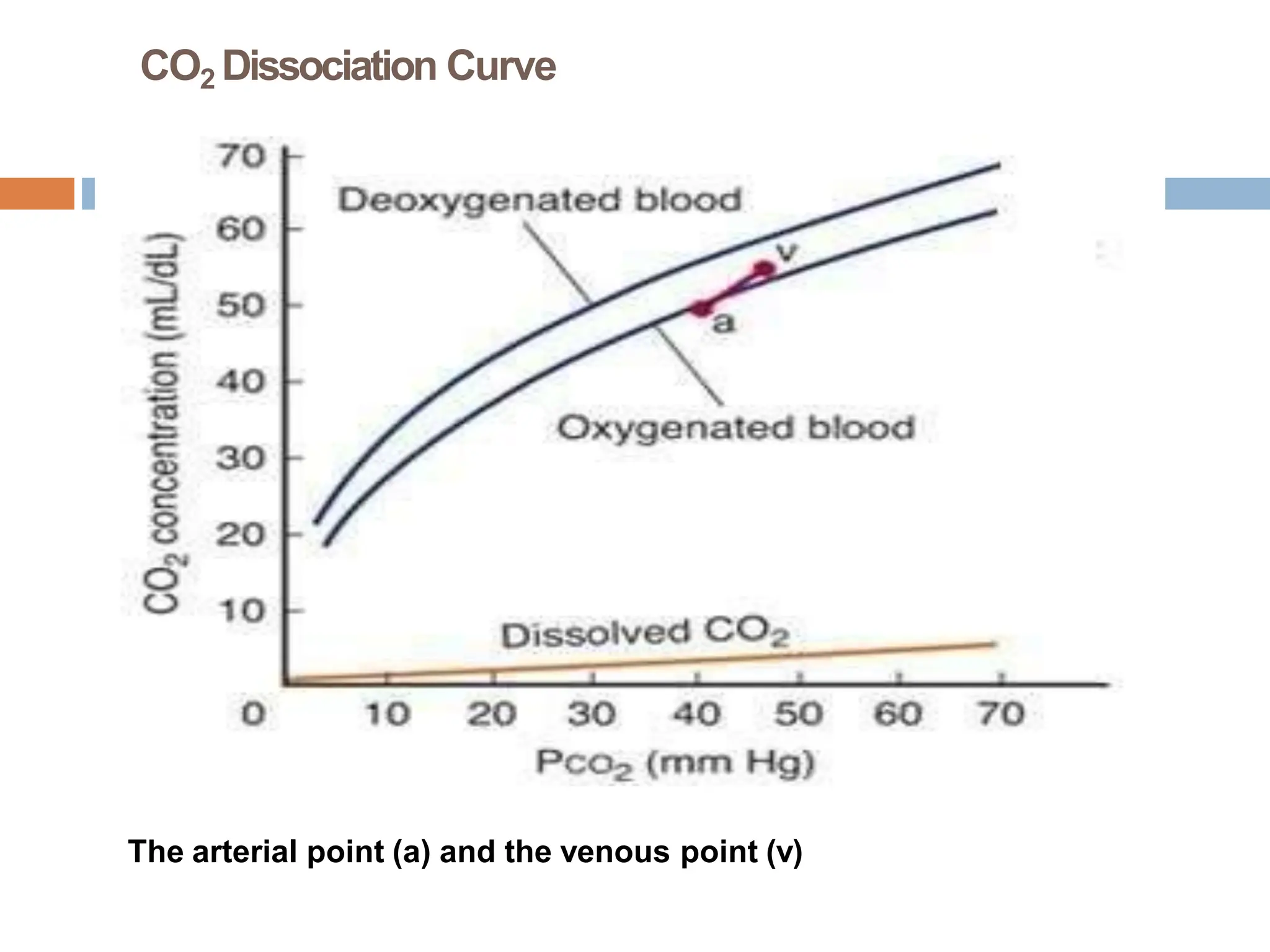 RESPIRATORY PHYSIOlogy presentation anaesthesia | PPTX