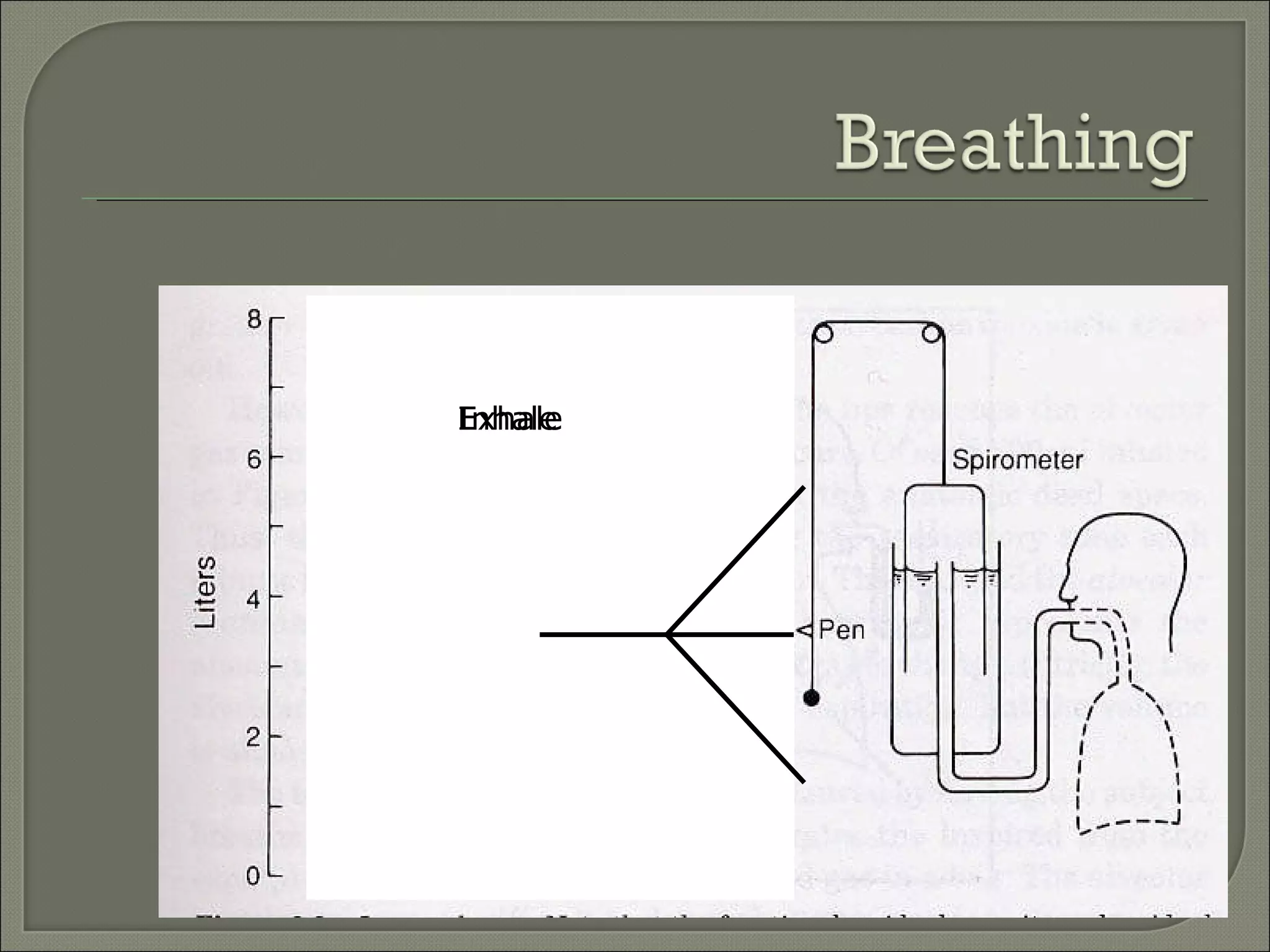 Respiratory Physiology | PPT