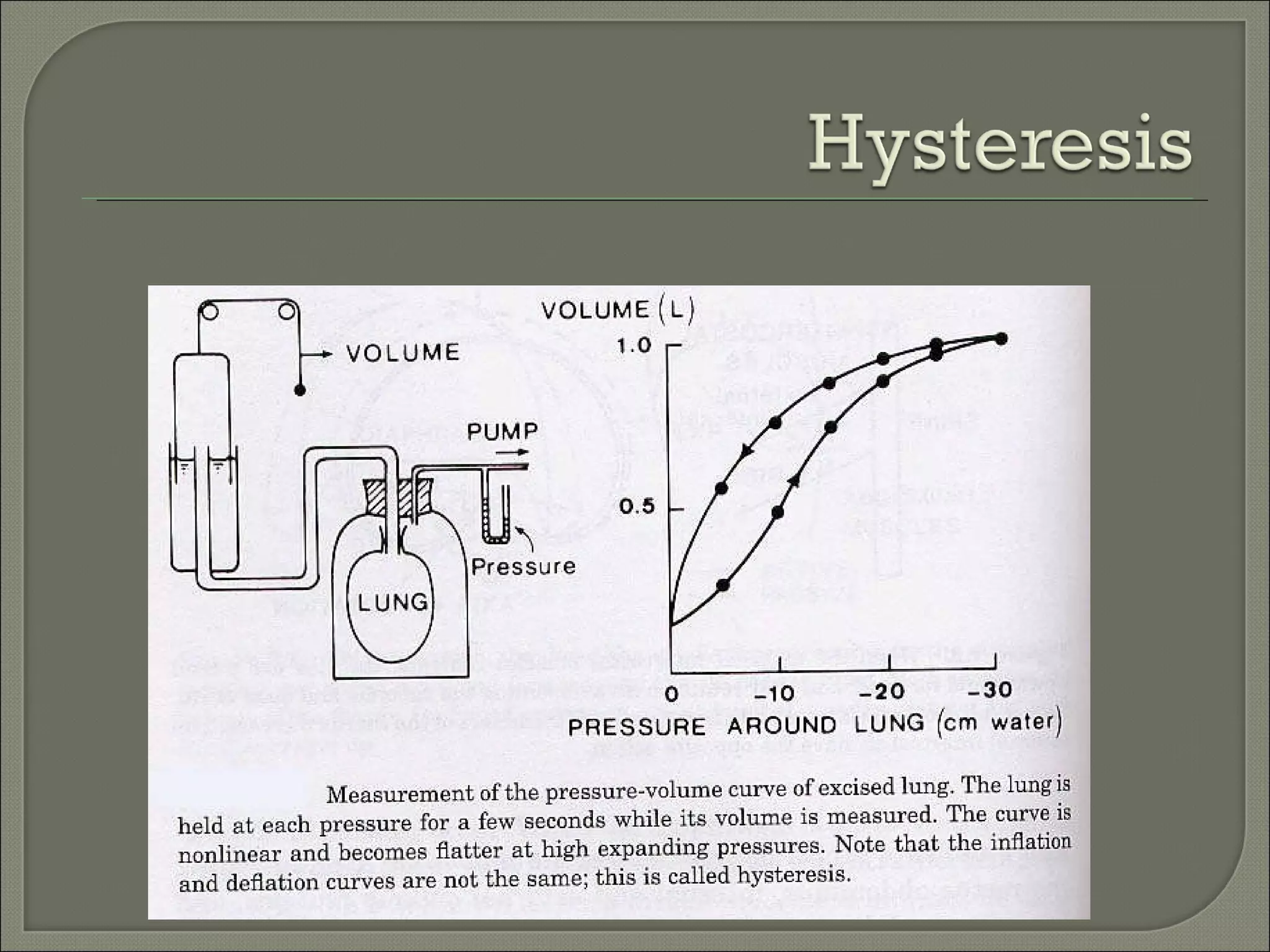 Respiratory Physiology | PPT