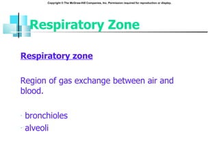 Respiratory Physiology | PPT