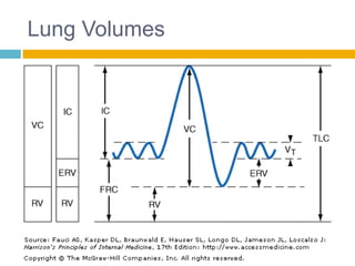 Respiratory physiology | PPTX