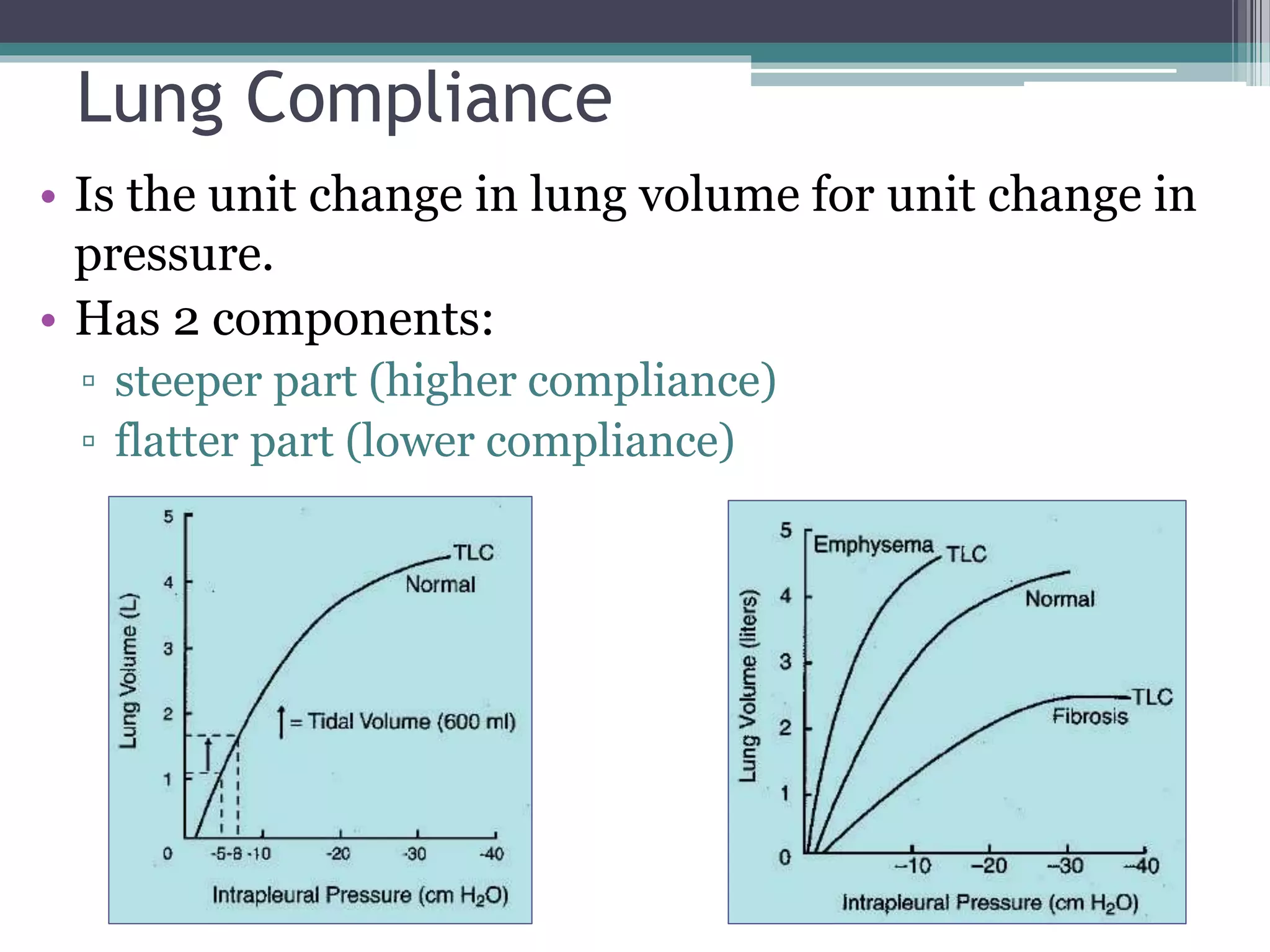 Respiratory physiology | PPTX