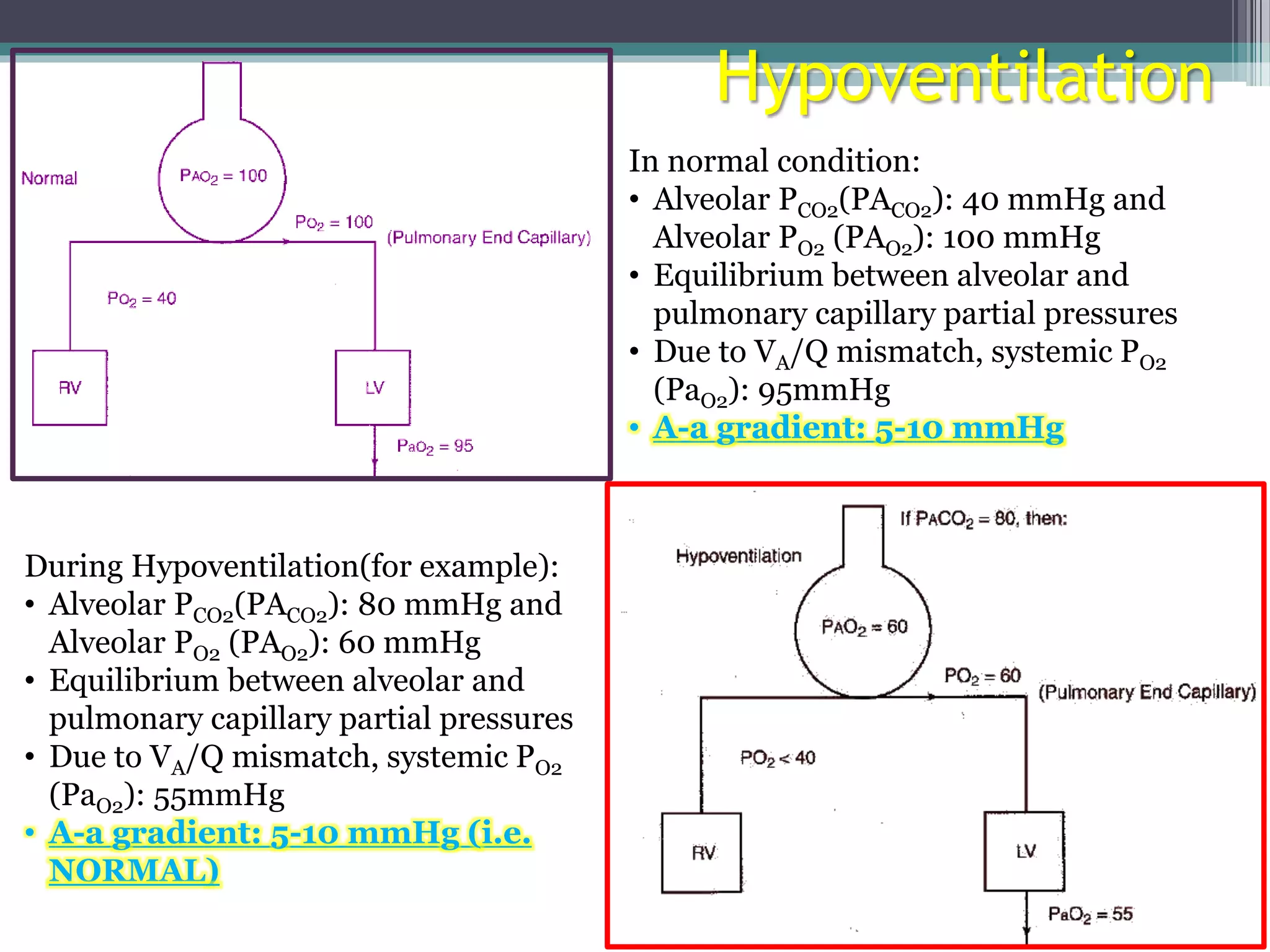 Respiratory physiology | PPTX