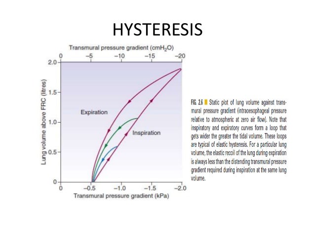 Respiratory physiology