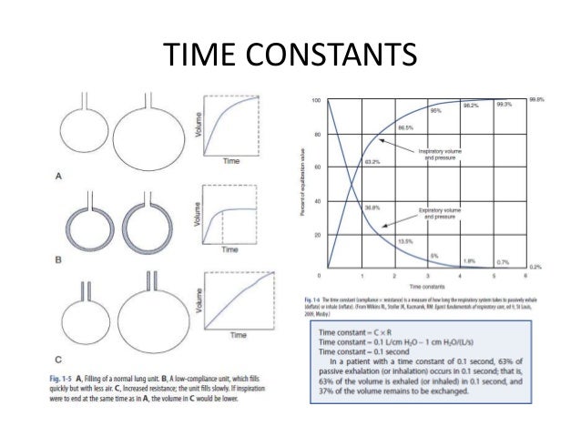 Respiratory physiology
