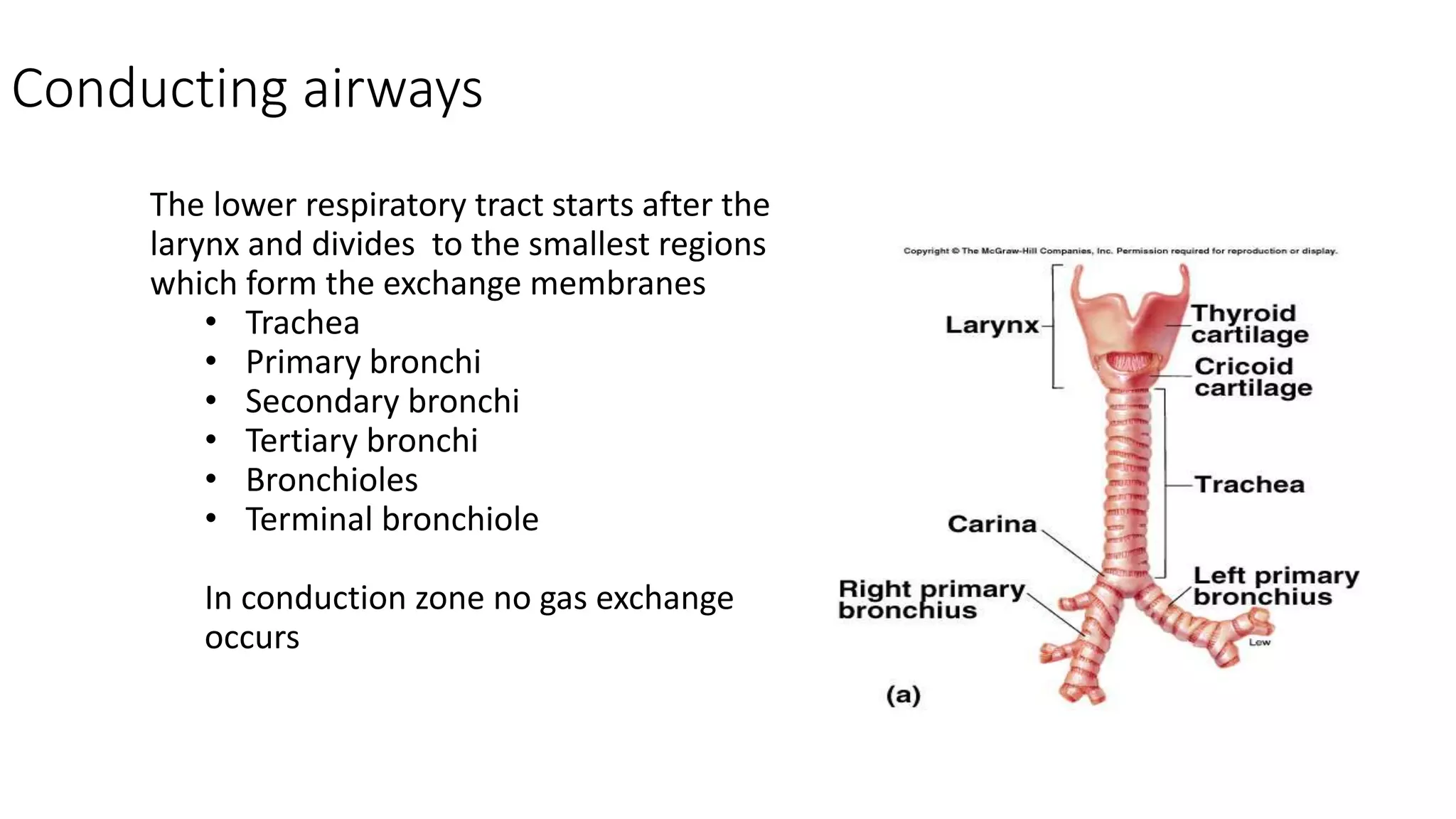 Respiratory physiology.pptx by DR Girish Jain | PPTX