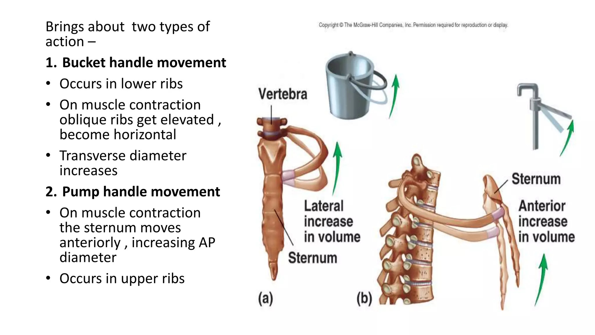 Respiratory physiology.pptx by DR Girish Jain | PPTX