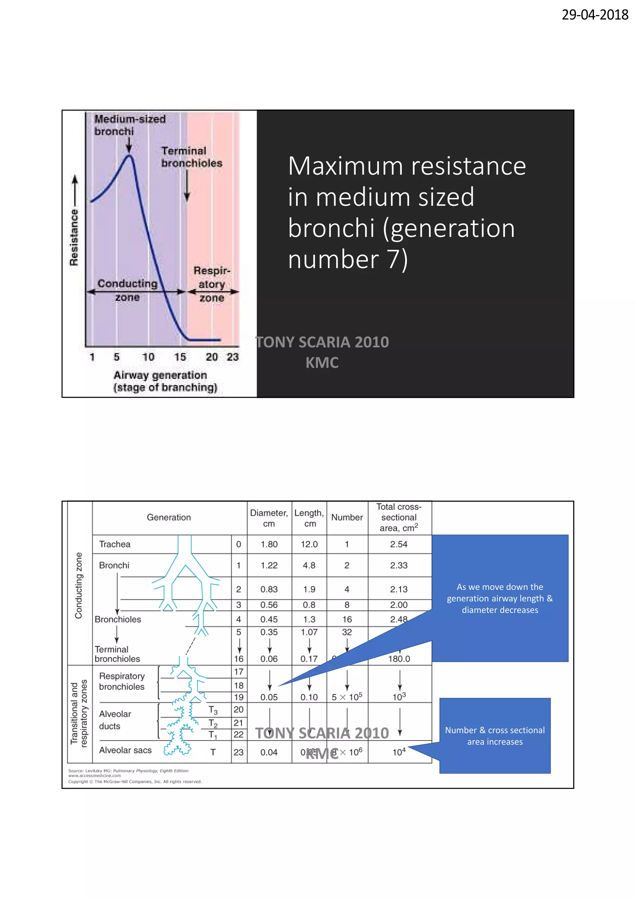 Respiratory physiology REVISION NOTES PHYSIOLOGY | PDF