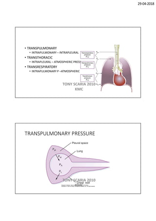 Respiratory physiology REVISION NOTES PHYSIOLOGY | PDF