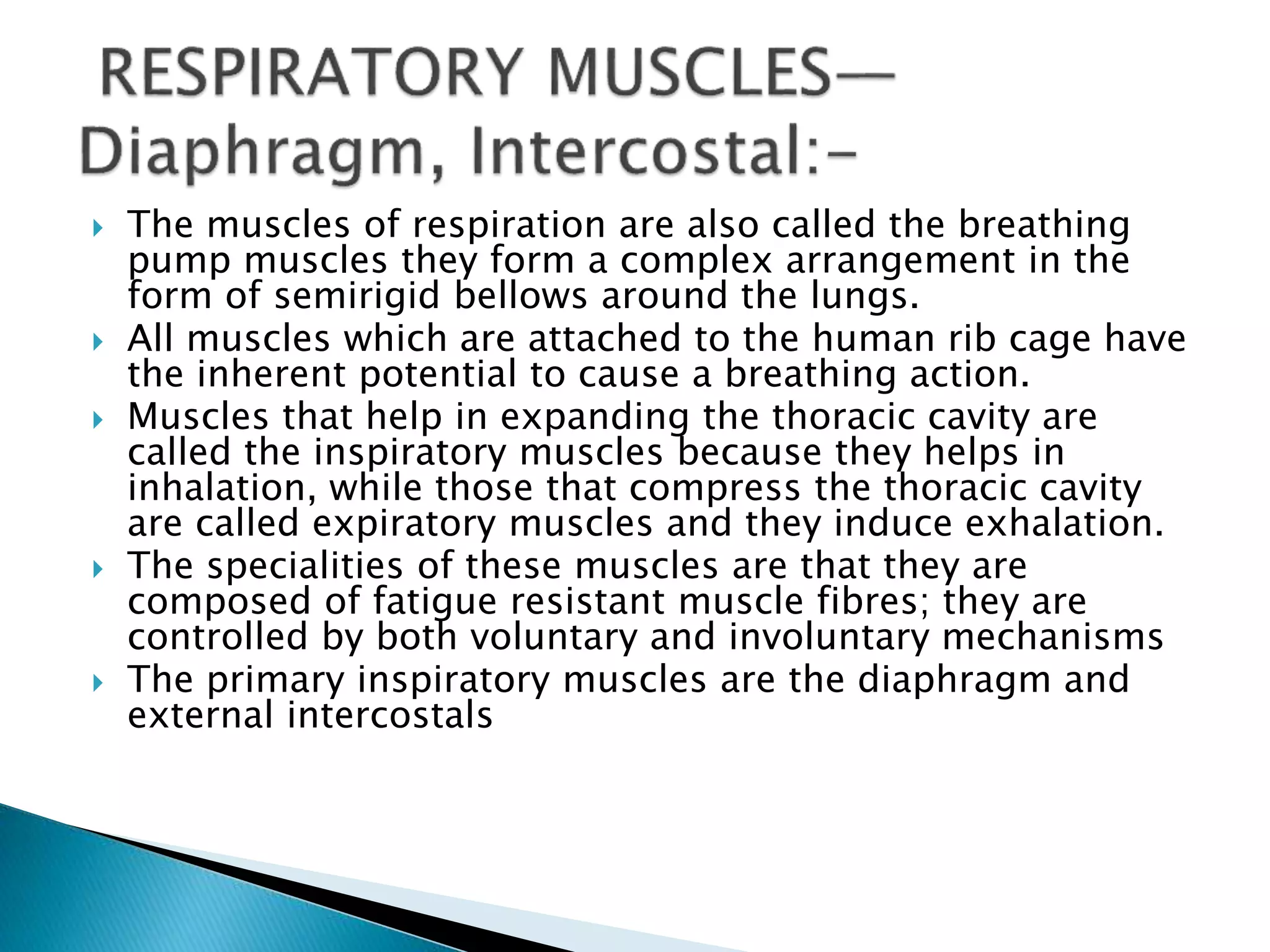Respiratory physiology | PPT