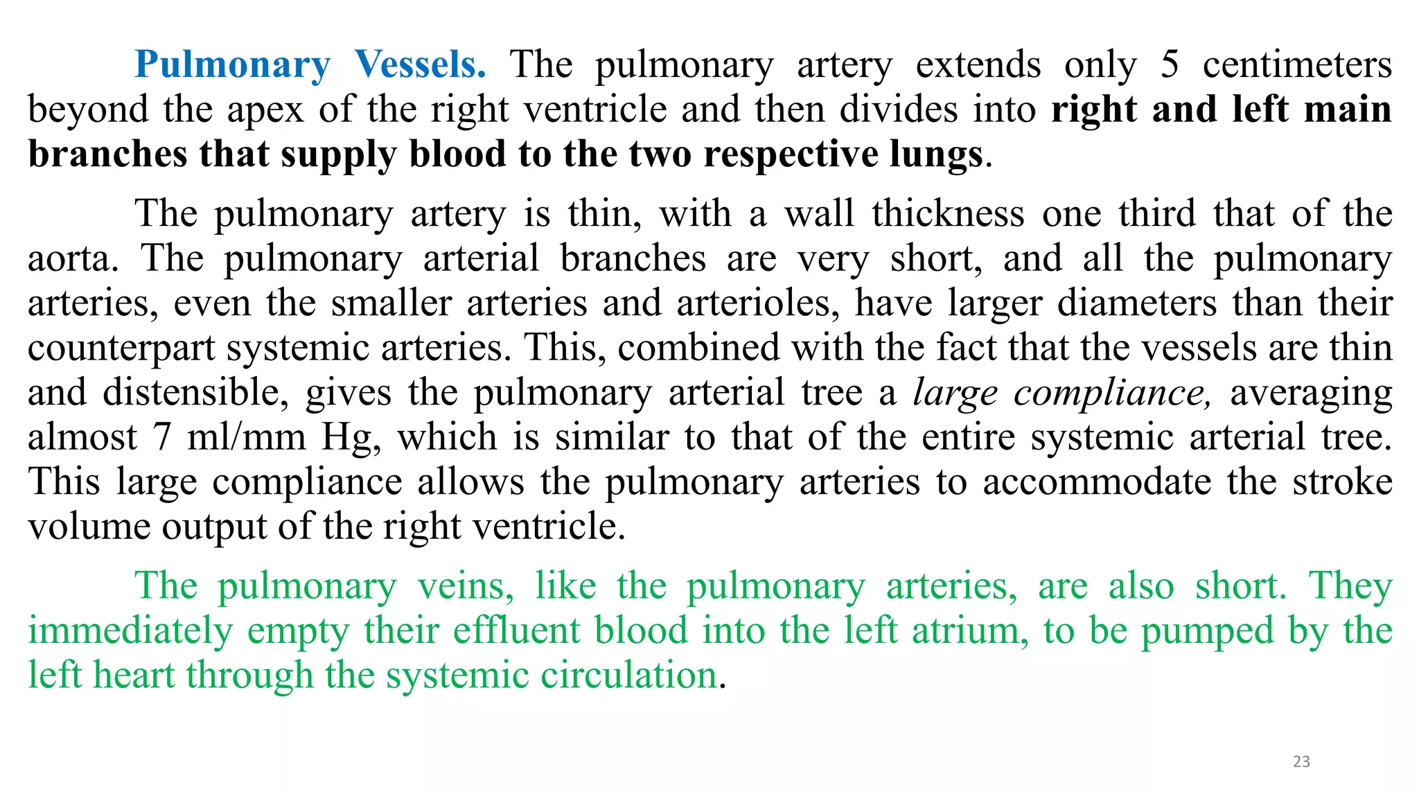 Respiratory Physiology.pptx